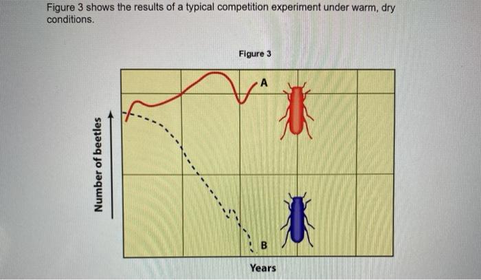 Solved COMPETITIVE EXCLUSION AND THE ECOLOGICAL NICHE The | Chegg.com