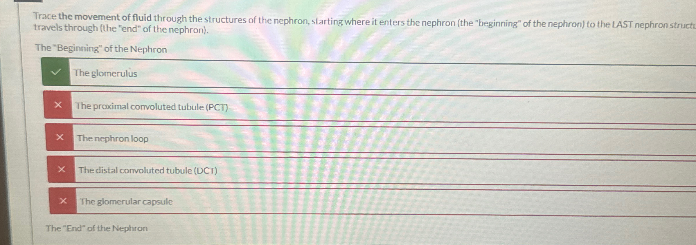 Solved Trace the movement of fluid through the structures of | Chegg.com