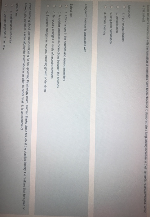 Solved Assessing whether the word CONSOLIDATION is in all | Chegg.com