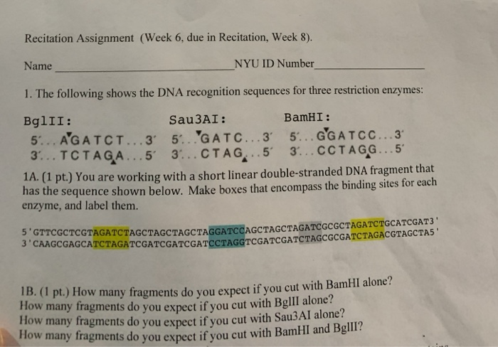 Solved Recitation Assignment (Week 6, due in Recitation, | Chegg.com