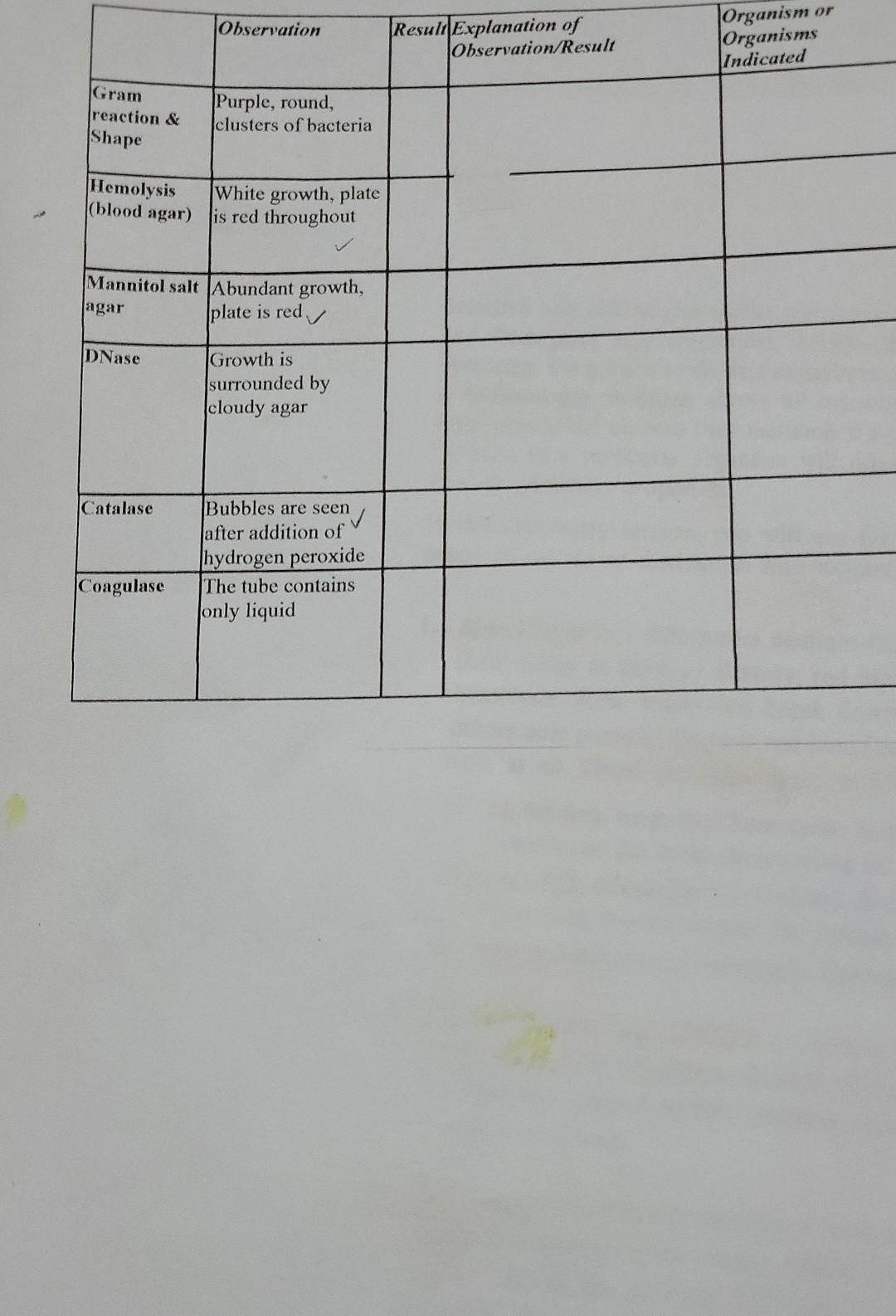 Solved Observation Result Explanation of Observation Result | Chegg.com