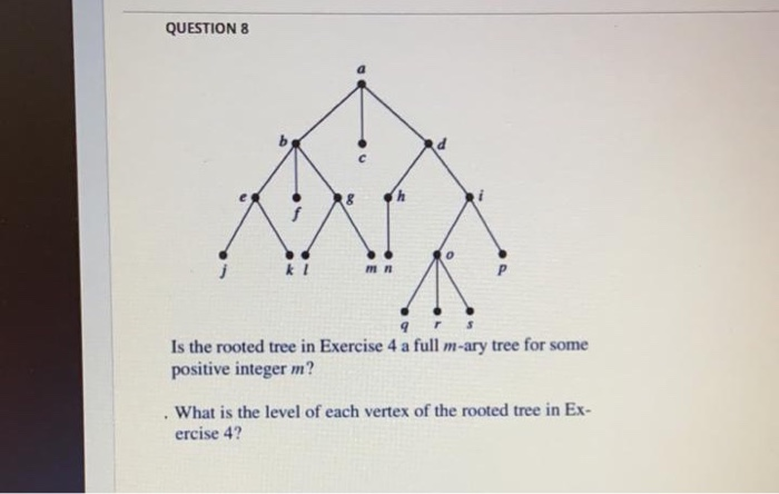 Solved QUESTION 8 mn Is the rooted tree in Exercise 4 a full | Chegg.com