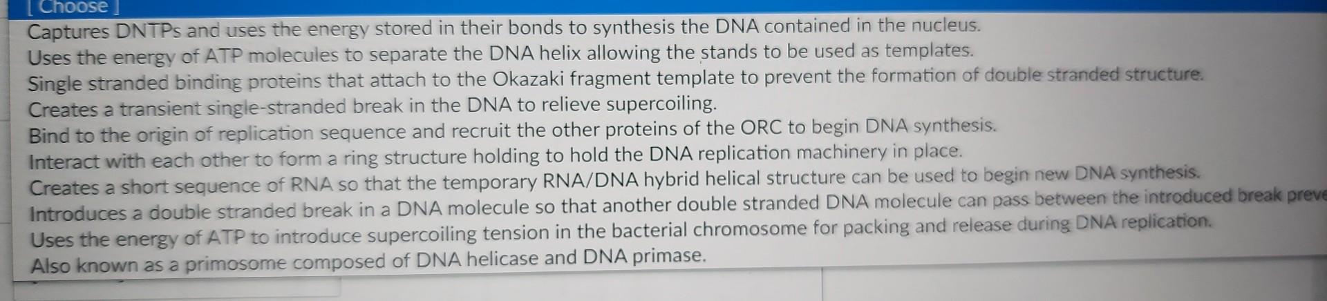 Match the following proteins to their function during | Chegg.com