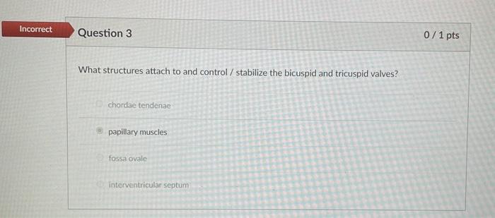 Solved What structures attach to and control / stabilize the | Chegg.com