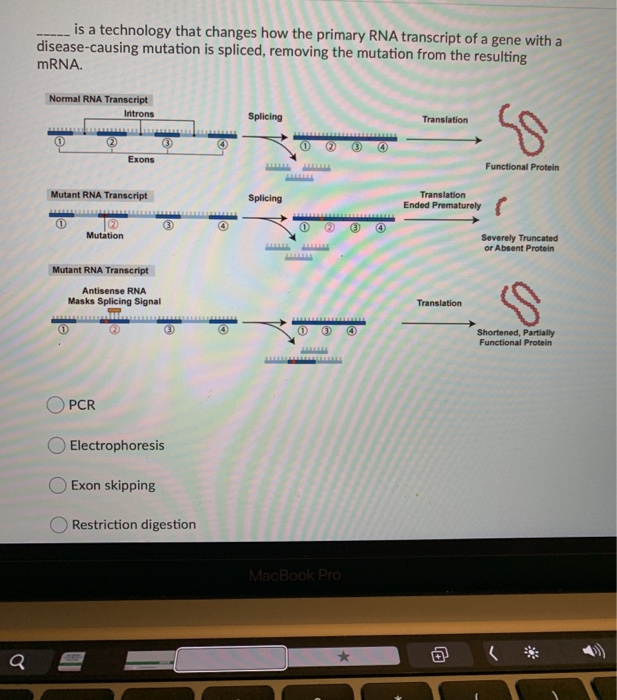 Solved is a technology that changes how the primary RNA | Chegg.com