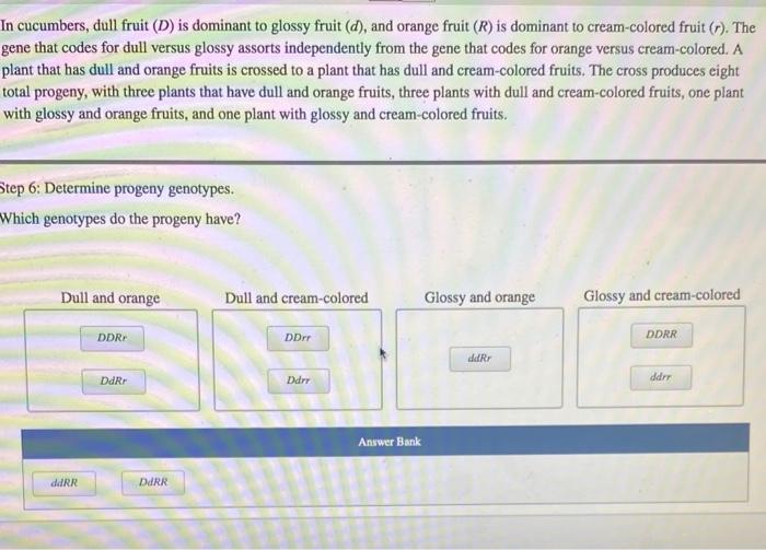Solved In cucumbers, dull fruit (D) is dominant to glossy | Chegg.com