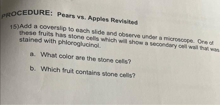 Solved PROCEDURE: Pears vs. Apples Revisited 15)Add a | Chegg.com