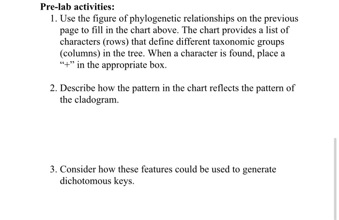 Part I. Using the cladogram below (modified from | Chegg.com