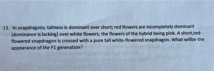 Solved 13. In snapdragons, tallness is dominant over short; | Chegg.com