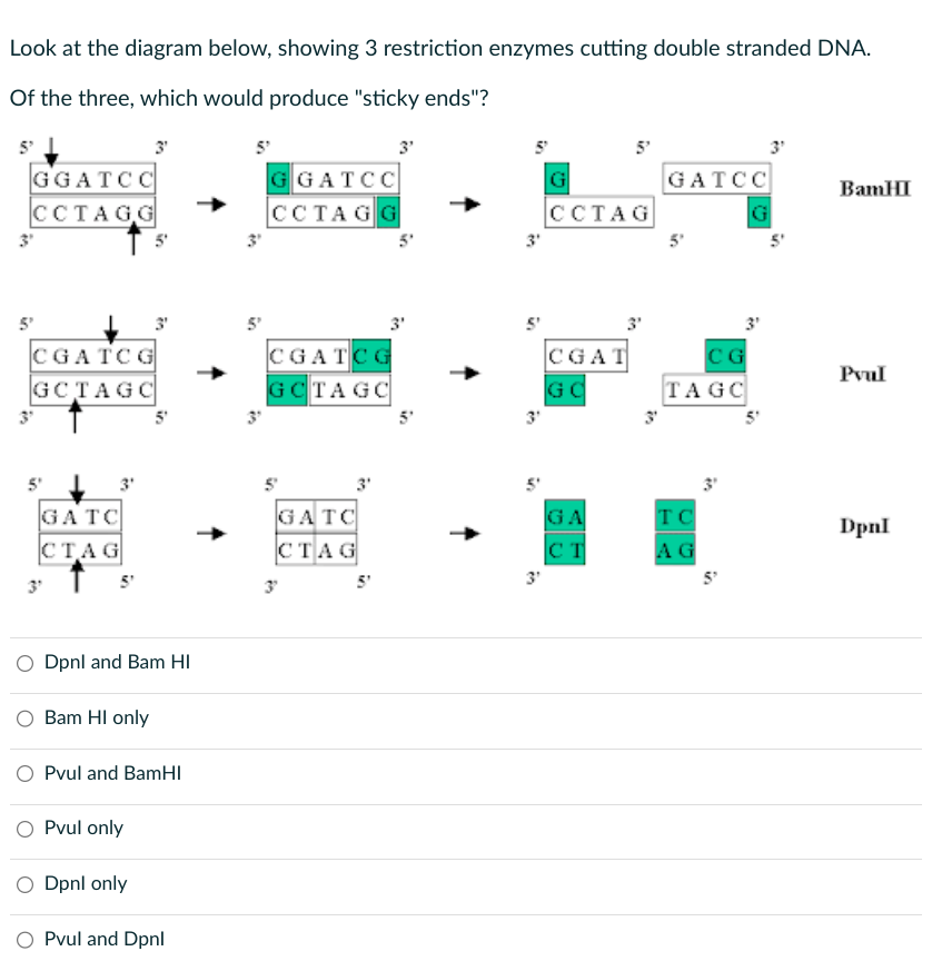 Solved Help solve. Choose the correct option. Look at the | Chegg.com
