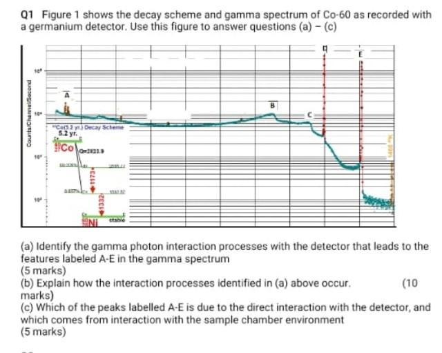 Solved Q1 Figure 1 shows the decay scheme and gamma spectrum | Chegg.com
