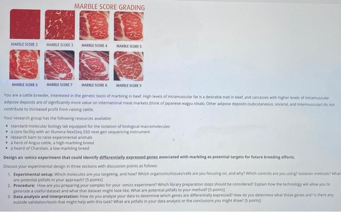 Solved MARBLE SCORE GRADING MARBLE SCORE 2 MARBLE SCORE 3 | Chegg.com