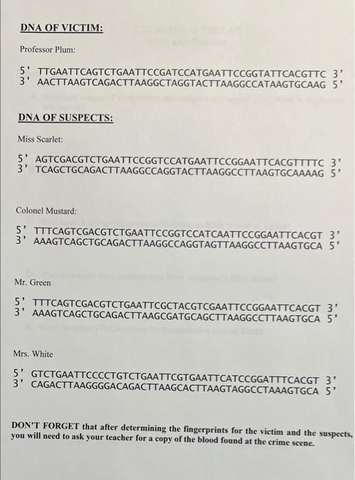 EXERCISE 13-3: WHO DUNNIT? When restriction enzymes | Chegg.com
