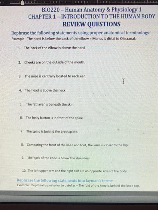 Solved BIO220 - Human Anatomy & Physiology 1 CHAPTER 1 - | Chegg.com