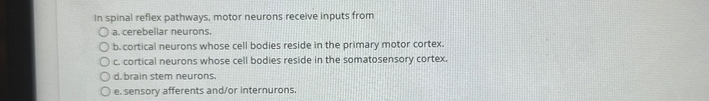 Solved In spinal reflex pathways, motor neurons receive | Chegg.com