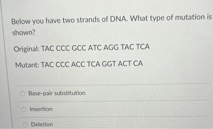 Solved Below you have two strands of DNA. What type of | Chegg.com