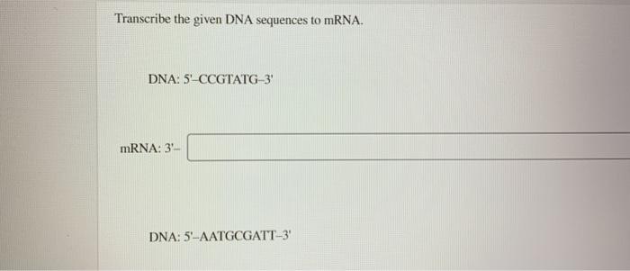 Solved Transcribe the given DNA sequences to mRNA. DNA: | Chegg.com