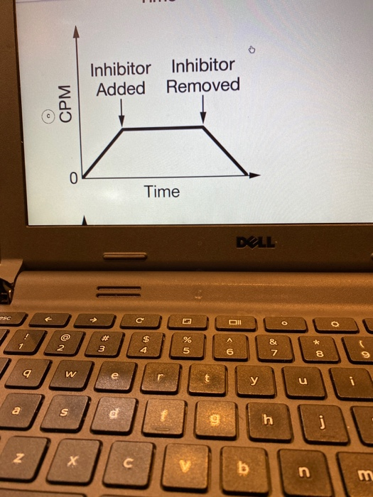 Solved Cycloheximide (CHX) is a eukaryote protein synthesis | Chegg.com