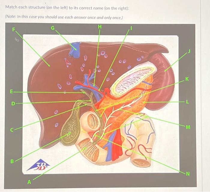Solved Match each structure (on the left) to its correct | Chegg.com