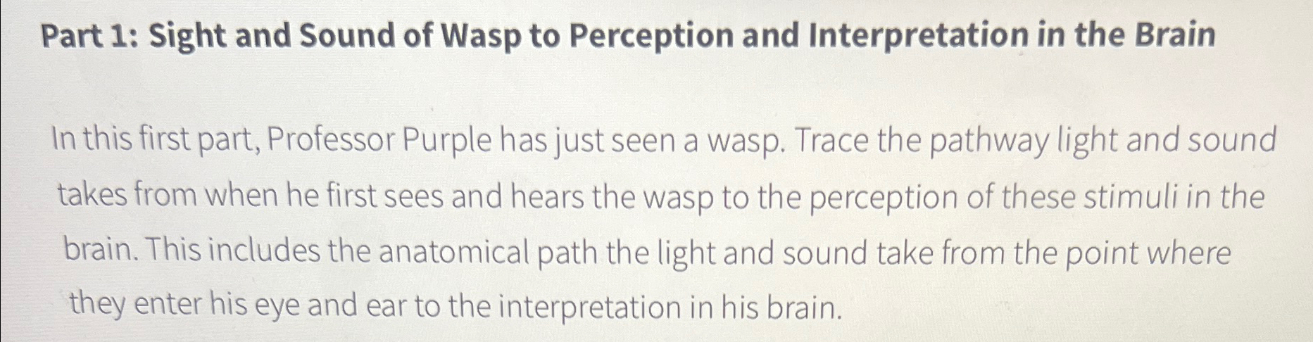 Solved Part 1: Sight and Sound of Wasp to Perception and | Chegg.com