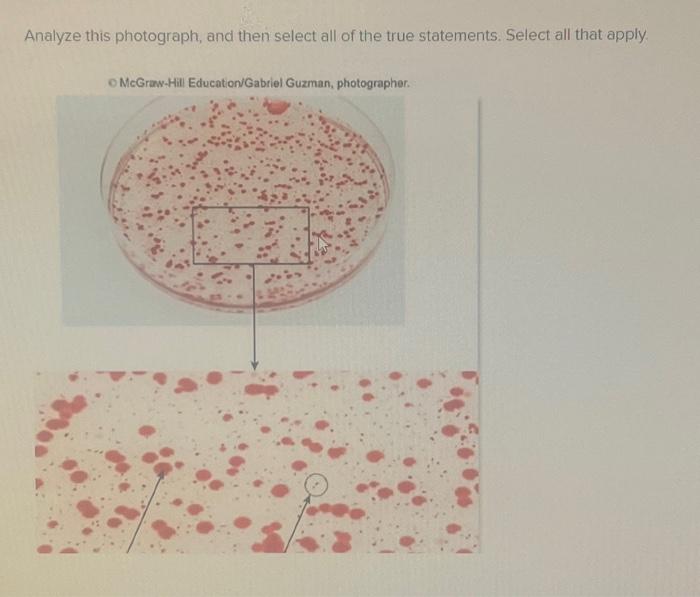 Analyze this photograph, and then select all of the | Chegg.com
