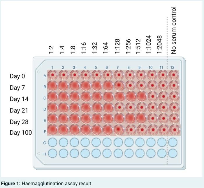 Solved Figure 1: Haemagglutination assay result Figure 2: | Chegg.com