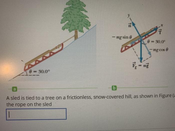 Solved 100 D A sled is tied to a tree on a frictionless, | Chegg.com
