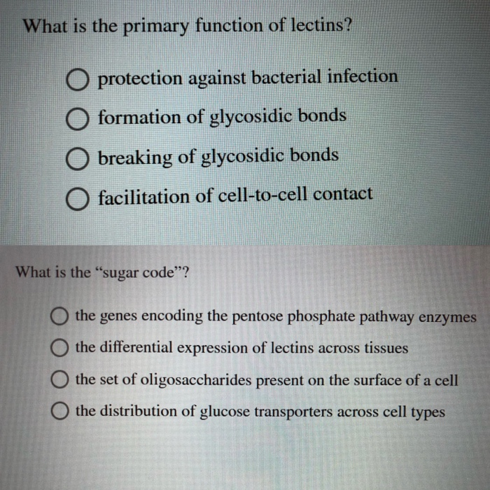 Solved What Is The Primary Function Of Lectins Protection