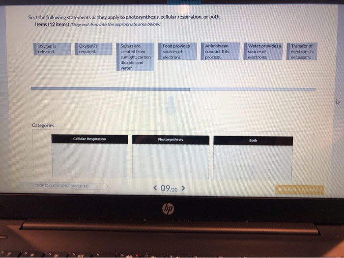 Solved Sort the following statements as they apply to | Chegg.com