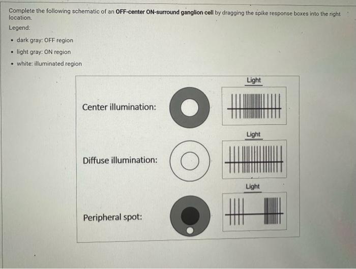 Complete the following schematic of an OFF-center | Chegg.com