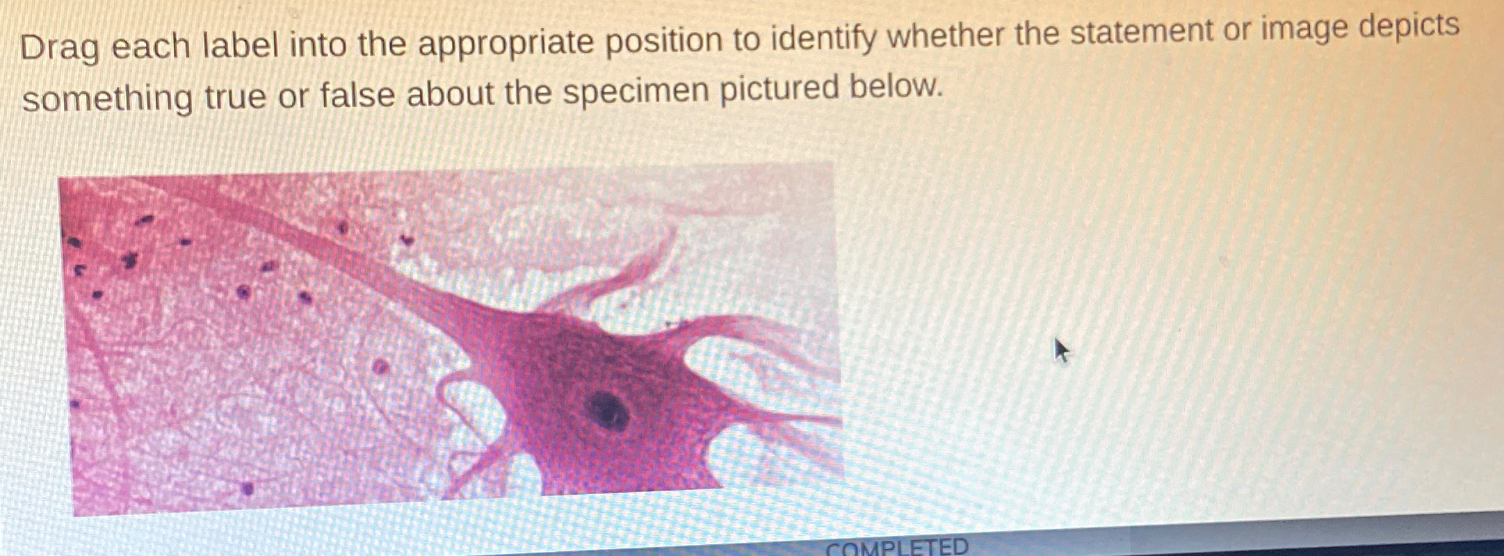Solved Drag each label into the appropriate position to | Chegg.com