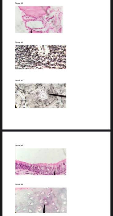 Solved Identify the following spell out the specific and | Chegg.com