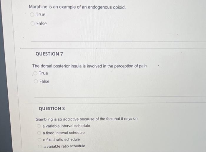 Solved Dopamine is created In the ventral tegmental area | Chegg.com