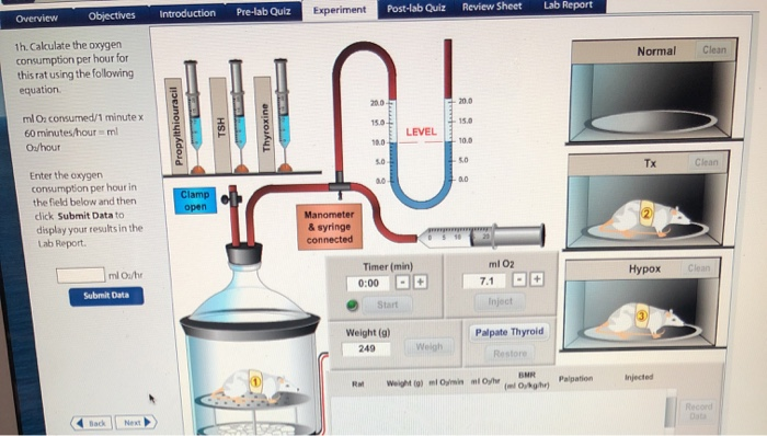 Solved Experiment Post-lab Quiz Review Sheet Lab Report | Chegg.com