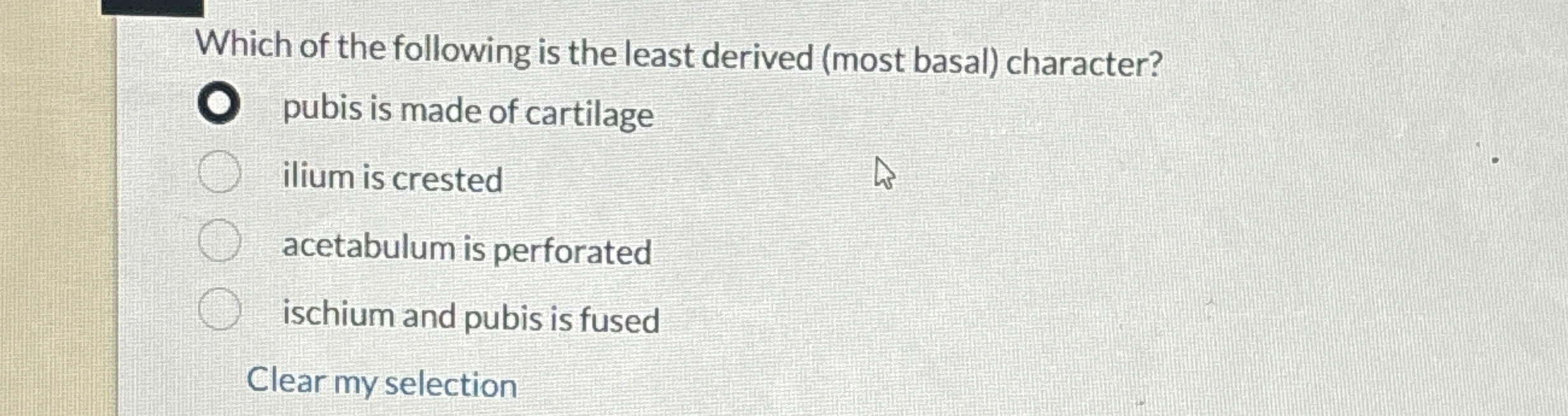 Solved Which of the following is the least derived (most | Chegg.com