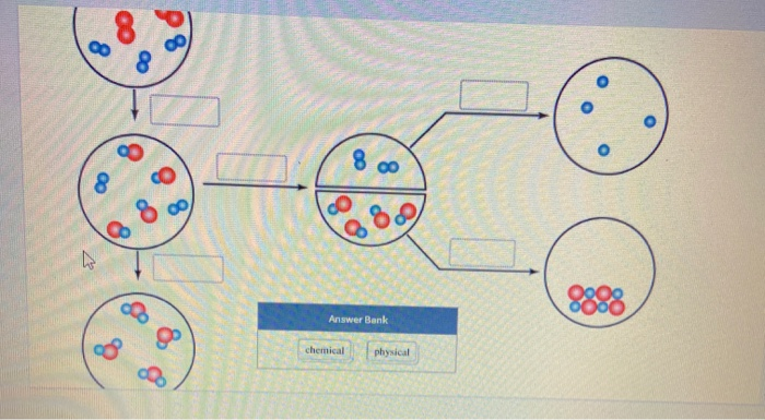 Solved Identify each transition in this flowchart as a | Chegg.com
