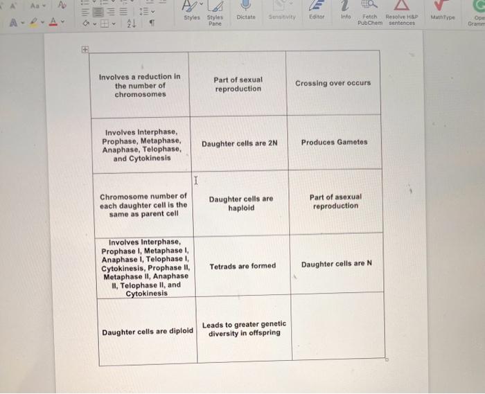 Solved Model out the phases of the cell cycle using the | Chegg.com