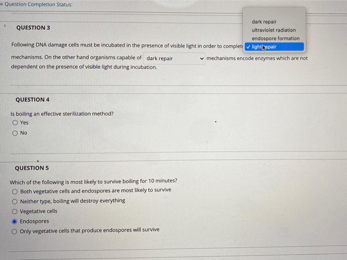 Solved Question Completion Status: dark repair QUESTION 3 | Chegg.com