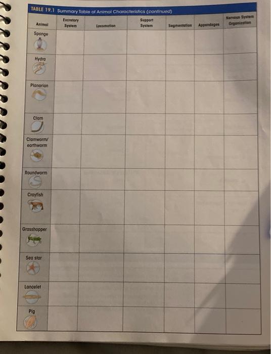 Solved TABLE 19.1 Summary Table of Animal Characteristics | Chegg.com