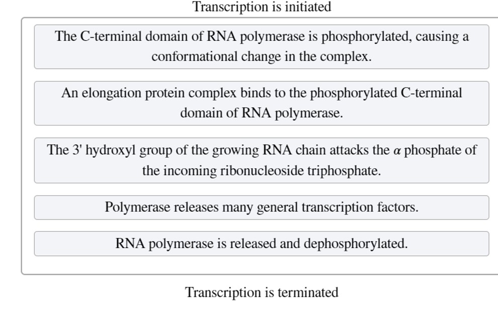 Solved Transcription is initiatedThe C-terminal domain of | Chegg.com