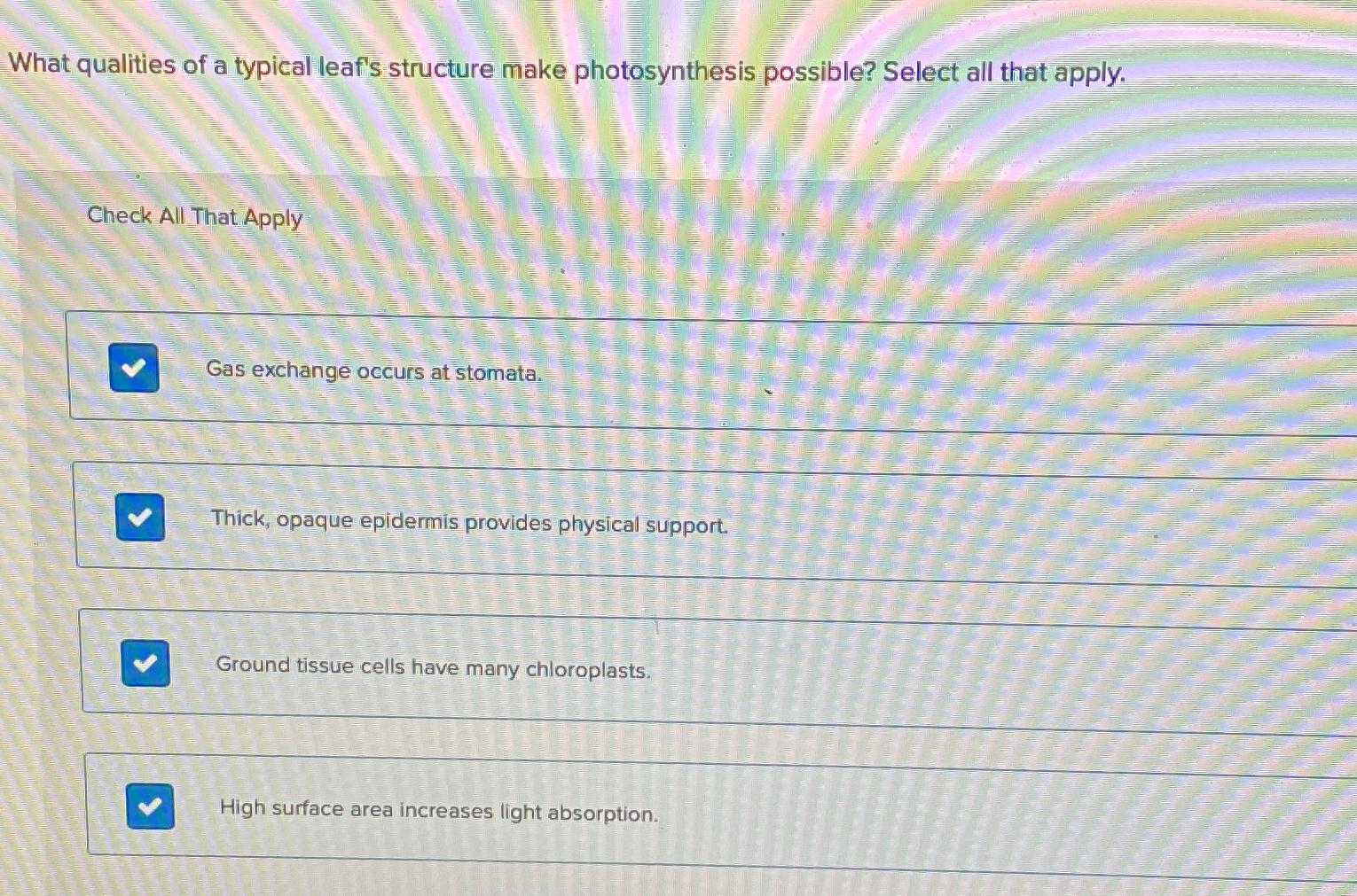 Solved What qualities of a typical leaf's structure make | Chegg.com