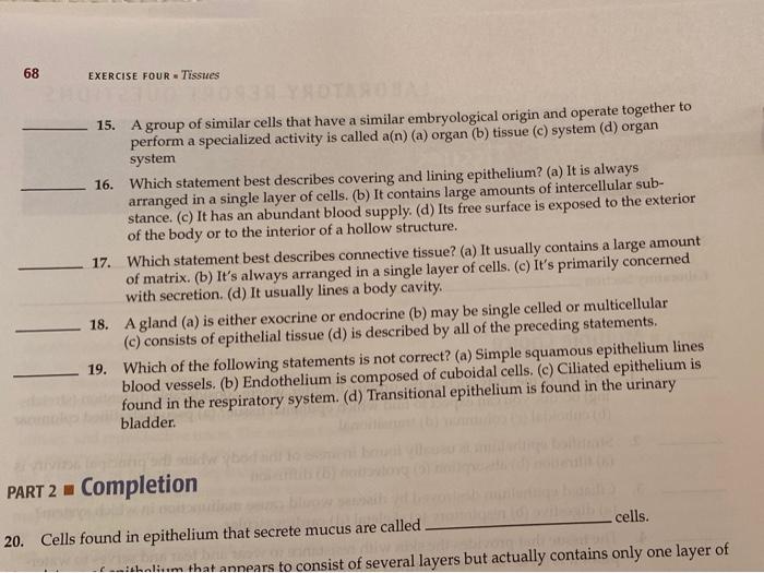 Solved LABORATORY REPORT QUESTIONS EXERCISE 4 Tissues Name | Chegg.com