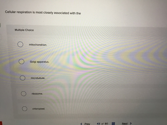 Solved Cellular respiration is most closely associated with | Chegg.com