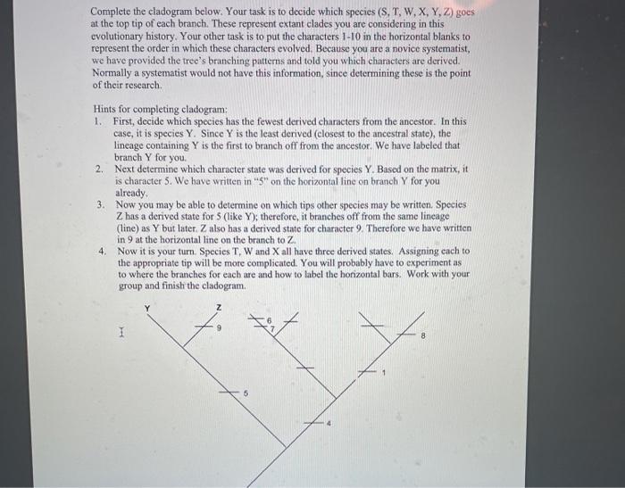 Solved Activities: 1. Try making a simple cladogram using | Chegg.com