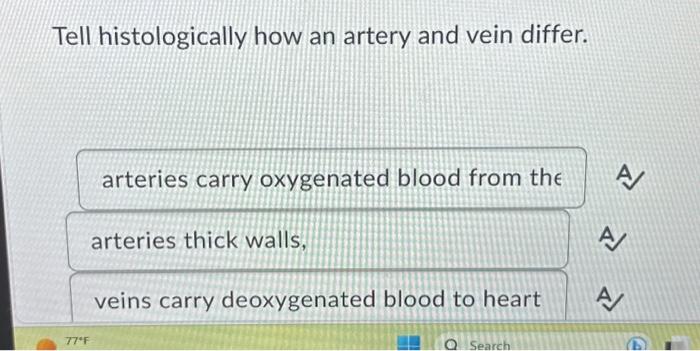 Solved Tell histologically how an artery and vein differ. | Chegg.com