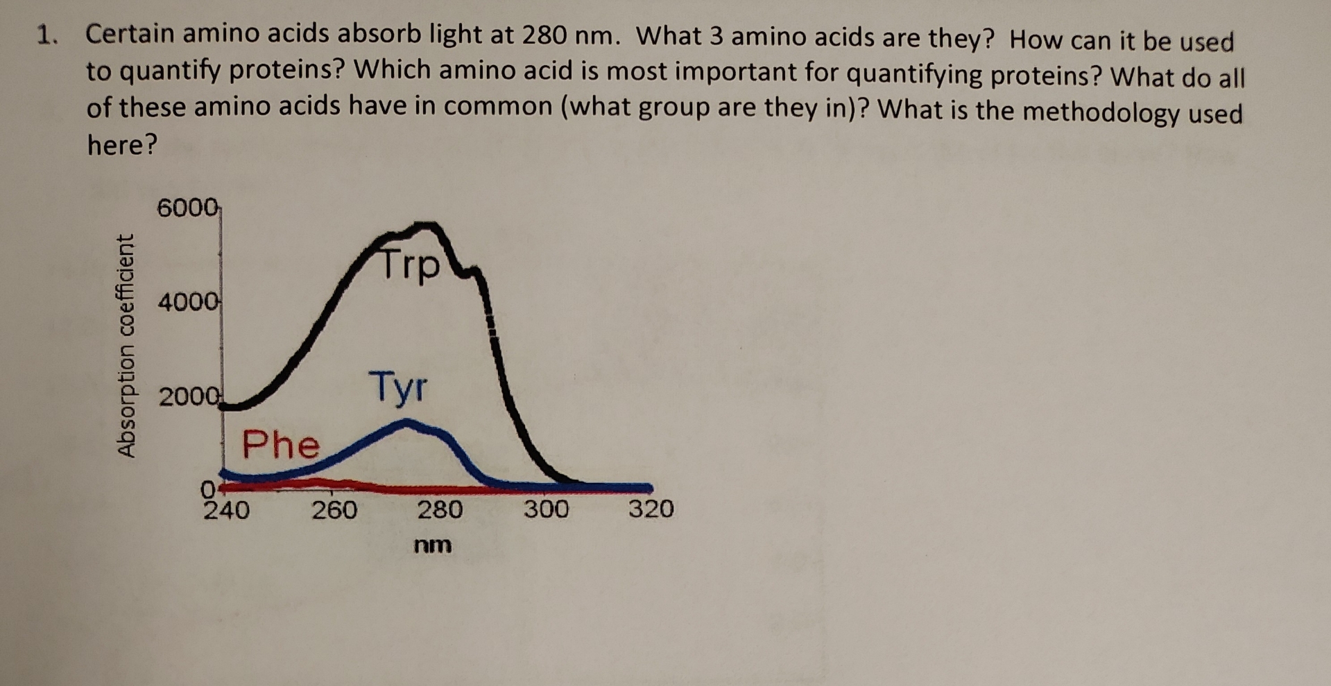 Solved Certain amino acids absorb light at 280 ﻿nm . ﻿What 3 | Chegg.com
