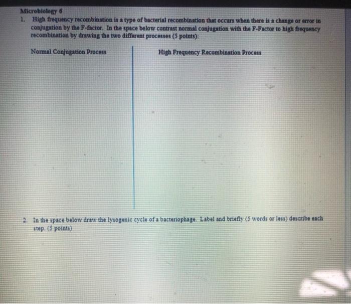Solved Microbiology 6 1. High frequency recombination is a | Chegg.com