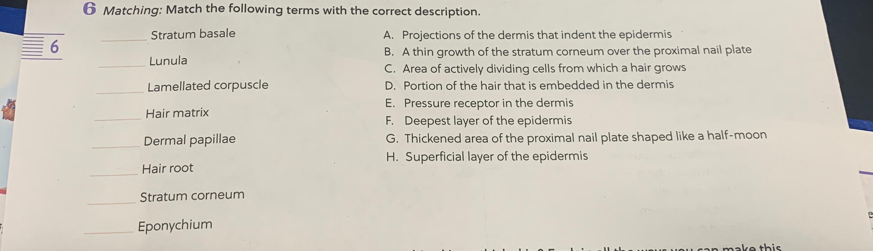 Solved 6 ﻿Matching: Match the following terms with the | Chegg.com