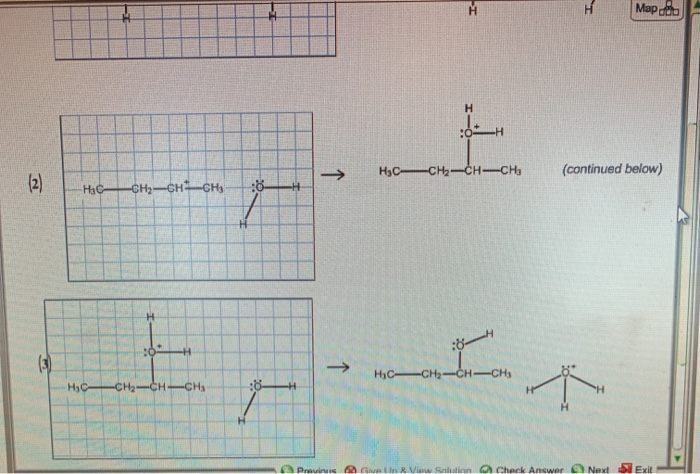Solved consider the acid catalyzed hydration of 1-butene. | Chegg.com