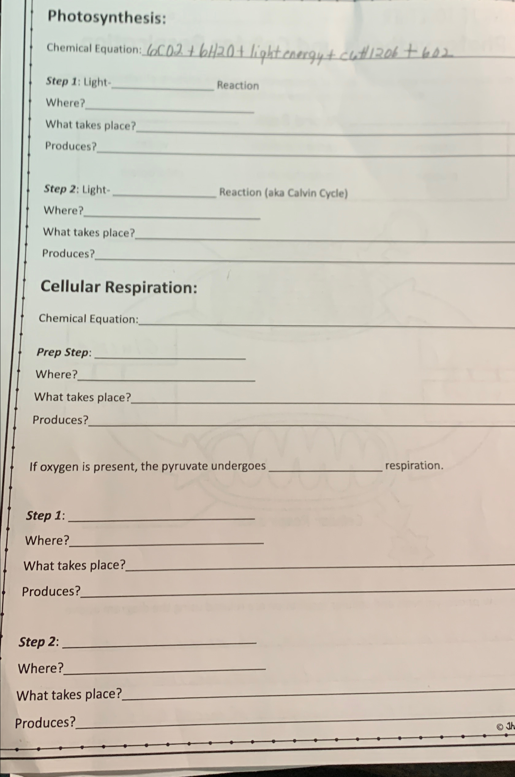 Solved Photosynthesis:Chemical Equation: 6CO2+6H2OO + ﻿light | Chegg.com